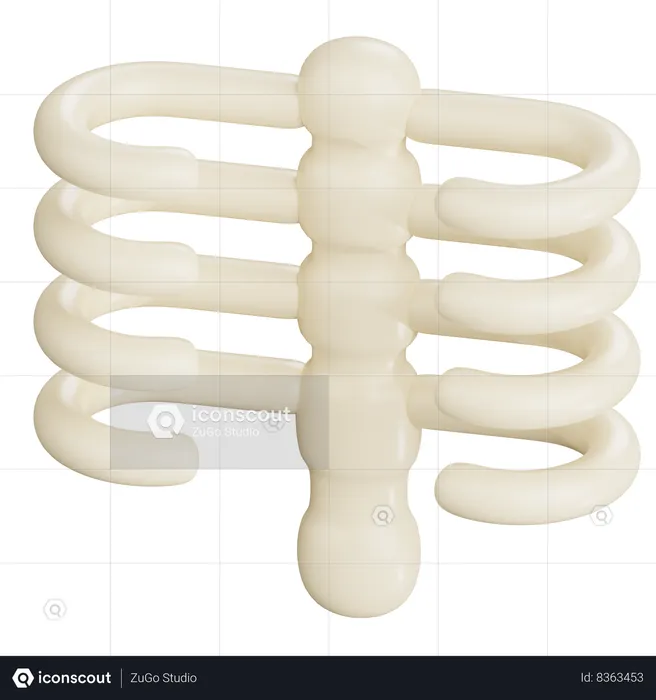 Human Chest Bones 3D Icon - Free Download Healthcare & Medical 3D Icons ... Human Chest Bones 3D Icon - Free Download Healthcare & Medical 3D Icons ...